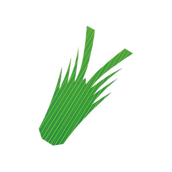 【商品説明】生バランは黄色の線が等間隔に入っています。【仕様】●外寸：１２５×６０ｍｍ●１０００枚入り