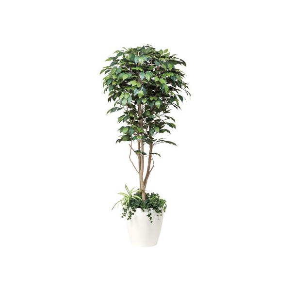【商品説明】ベンジャミンの花言葉は、「永遠の愛」「友情」です。植栽付きになります。新しい門出を迎える方への贈り物にピッタリです。高さは１８０ｃｍの人工植物です。光触媒加工をしており、空気清浄の効果もあります。【仕様】●サイズ：約８０×８０×...