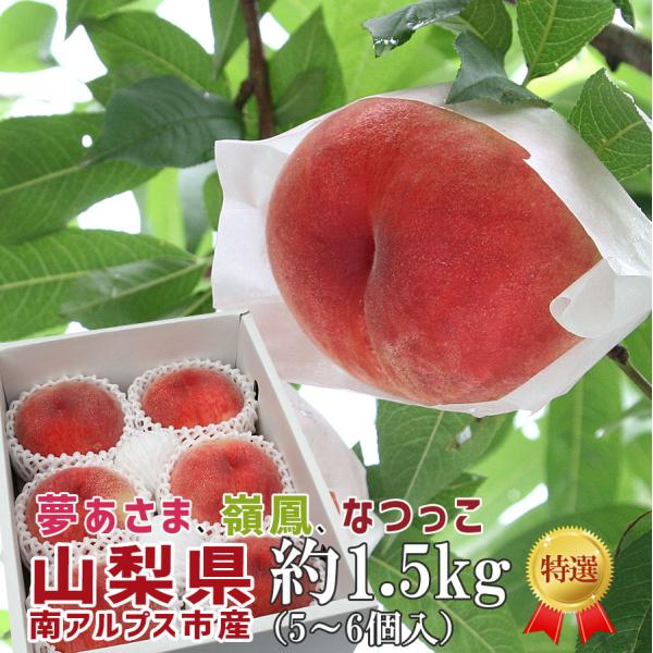 【発売日：2026年07月10日】『夢あさま』とろけるような食感で、到着時は硬めでも日にちを置くと柔らかくなり、手で簡単に皮がむけますので、柔らかい桃がお好みの方にお勧めします。（7月10日頃〜）『嶺鳳』もっちりとした食感で、程よい酸味があ...