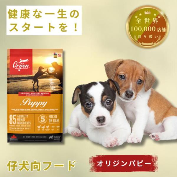 オリジン パピー｜全犬種 子犬用　高たんぱくグレインフリードッグフード　大切な「はじめてのごはん」に。　放し飼いの鶏や七面鳥、天然魚、平飼い卵などの新鮮食材をたっぷり使用した、子犬の健やかな成長を支える高たんぱくグレインフリーフードです。 ...