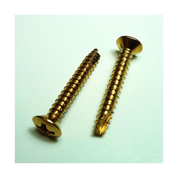 【メール便OK】バルク品につきパッケージはありません。シングルコイルPUのマウント用ビス。ミリサイズ3.0X18mm 6本セット皿ネジ