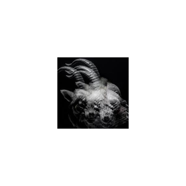 (出演) ｔｈｅ ＧａｚｅｔｔＥ (ジャンル) CD、音楽 邦楽 ロック・ポップス (入荷日) 2023-04-22