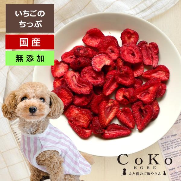 いちごをスライスにして安心安全なチップに仕上げてみました。果物のもつ優しい旨味をお届けします。天然の原料を使用し添加物を使用していない為、商品により色/硬さ/形/香りに違いがあります。