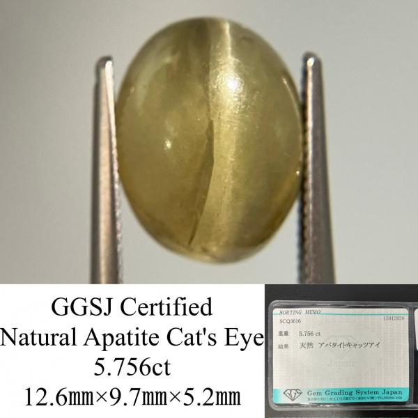 ■商品情報【管理番号】8067YY【アイテム】その他アクセサリー【付属品】宝石ソーティング付き【商品説明】たくさんの商品の中からご覧頂きましてありがとうございます。ご質問やオファー金額がある際はお気軽にコメントください。出来る限り頑張ります...