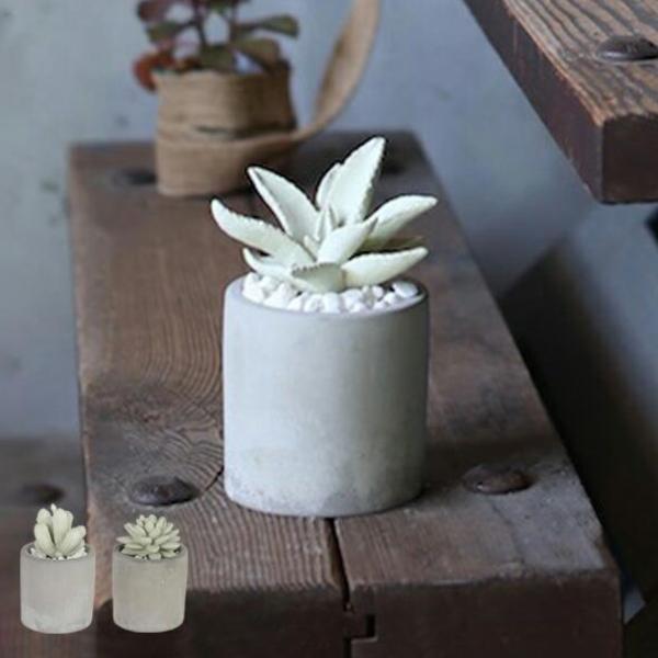 サイズ/アロエ：約直径9×縦15.5cmカクタス：約直径9×縦16cmリトルゲム：約直径9×縦14.5cm容量/約100ml内容量/1個材質/本体：石こう、セメント、ガラス、白雲石、綿オイル（香料、アルコール、水、溶剤）種類/アロエ、カクタ...