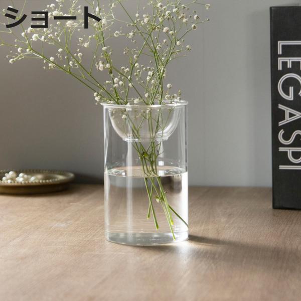 サイズ/約高さ13.5cm直径：約8.5cm内容量/1個材質/ガラスカラー/クリア生産国/中国製●おうちで水栽培が気軽に楽しめるガラスベースです。●クリア ＜ショート＞ サイズです。●球根、サボテンやリボベジにも使いやすく気軽におうちガーデ...