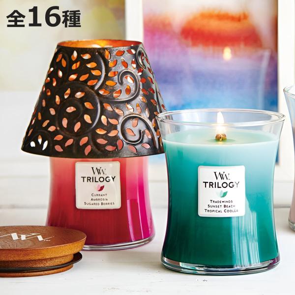 ●火を灯すと”パチパチ”と木芯がはぜる心地よい音が癒しの、ウッドウィックキャンドル「ジャーM」です。●美しい切り抜き細工が施された専用シェードを一緒にお届けします。●優しい炎の陰影が、癒しの時間を演出します。●透明感が美しいグラスボトルのキ...