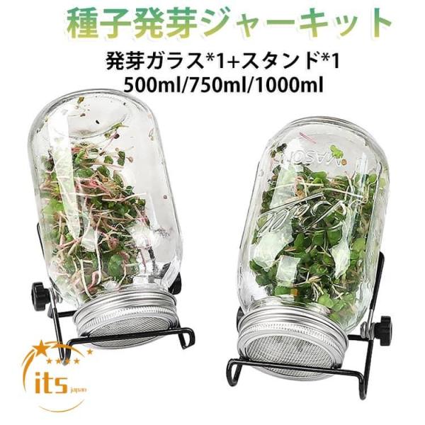 スプラウト栽培キット 種子発芽成長セット 2点セット 発芽容器 メイソンジャー スプラウト栽培キット 発芽ジャー アルファルファ ブロッコリースプラウ