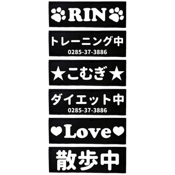 仕上げタイプ:つや消しカスタマイズ性: お好みのテキストを印字可能な2枚1組のハーネス用ネームタグです取り付け方法: マジックテープ式で簡単に着脱可能、既存のハーネスに後付けできますデザイン: 黒 or シルバー、黒タグは白文字、シルバータ...
