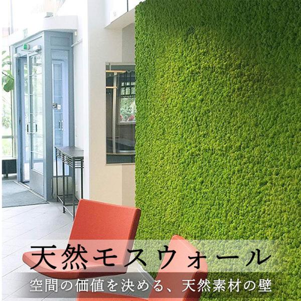 北欧フィンランド産レインディアモスを使用した、法人・店舗向けの壁面装飾材（壁面緑化）です。造花や人工グリーンではなく、100％天然素材の苔を使用しています。応接室、オフィスエントランス、役員フロア、商業施設や店舗内装など、空間の印象や格を重...