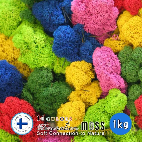 ◆商品名：MOSSWALL piece(モスウォール ピース）◆通称名：レインディアモス （となかいこけ）フィンランドではトナカイたちがモスを食べてるところから、レインディアモスと呼ばれています。■サイズ：タテ30cm×ヨコ30cm×奥行3...