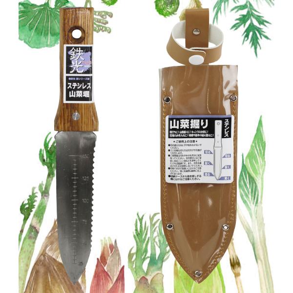 ●店舗園芸担当者コメント●山菜の収穫や花壇の整備など、いろいろな作業で“ちょっと掘りたい”瞬間がありますよね。この鉄光ステンレス山菜堀は、軽量かつサビに強く、裏面にあるメモリが深さの目安になってとても便利。女性や初心者でも扱いやすい万能ツー...