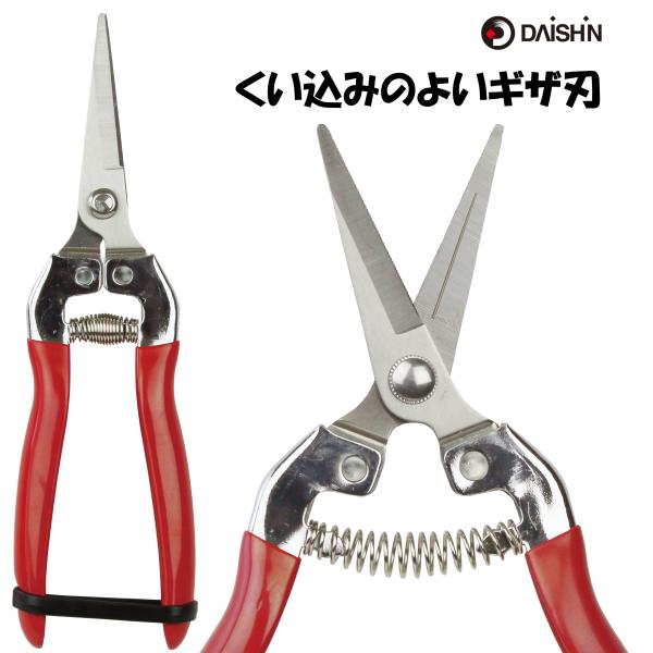 ●店舗担当者コメント●「芽切りや収穫、細かい剪定作業に最適な一品。軽量＆コンパクトなので、手が疲れにくく、長時間の作業にもぴったりです。ステンレスのギザ刃仕様だから、サビにくくメンテナンスも簡単！こだわりの道具で、ガーデニングをもっと楽しく...