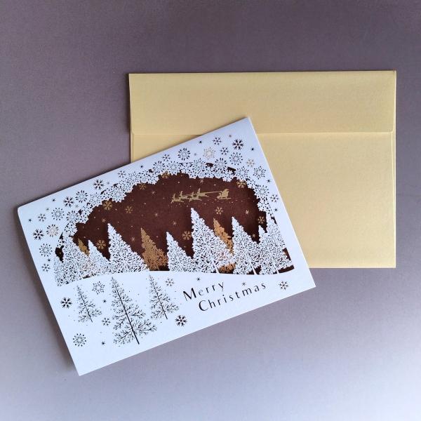 上品でおしゃれなクリスマスカードです♪プレゼントにメッセージを添えて♪上品で華やかなカードは、クリスマス気分を盛り上げてくれますよね！大人の気遣いにさり気なく使えます！サイズ：110x150mm 二つ折り白無地中紙：104x145mm 封筒...
