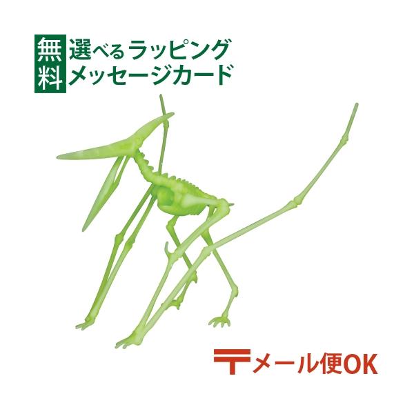 木のおもちゃ 知育玩具 木の玩具 木製玩具 男の子 出産祝い 誕生日 プレゼント 1歳 2歳 3歳 指先知育 ごっこ遊び ギフト クリスマスEDU-SCIENCE社　クラフト グロー恐竜骨格シリーズ　プテロダクティルス　です。体長が1メート...