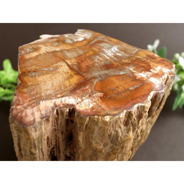 ■サイズ・重さなど：最大幅 108mm 重さ 1410g■産地・原産国：マダガスカル産■名称など：珪化木(ペトリファイドウッド)■商品説明：激レア！ペトリファイドウッド 一面磨き原石珪化木【ペトリファイドウッド】という、遥か昔には樹木だった...