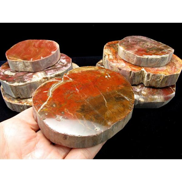 ■サイズ・重さなど：重さ 200g-230g (重さでの出品なのでサイズはまちまちです)目安のサイズ:300gのもので最大幅105mm×厚み17mm■名称など：珪化木(ペトリファイドウッド) プレート■商品説明：激レア！ペトリファイドウッド...