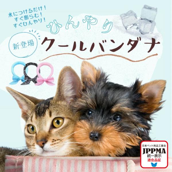 *本製品は、生産ロットにより柄の出方や色の濃淡が異なる場合がございます。お使いのモニターや撮影時の光の加減などにより画像と実際の商品のカラーが異なる場合もございます。素材：コットン、ポリマーサイズ：製品サイズ：5*100cmカートンサイズ：...