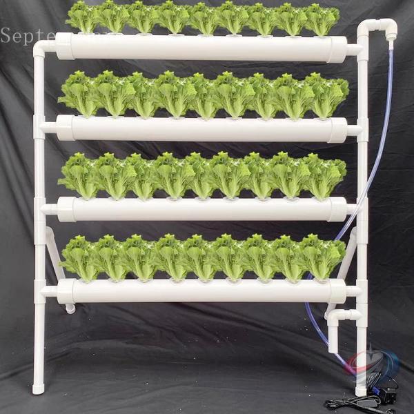 水耕栽培キット すいこう栽培キット いちご 野菜 栽培キット 室内 家庭菜園 水耕栽培セット プランター36穴 (36 穴)