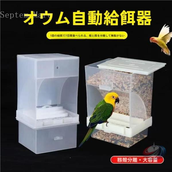 バードフィーダー 鳥 餌入れ 水入れ 自動 小鳥 餌台 食器 インコオウム えさ入れ えさいれ 鳥の餌台 500gの大容量 大容量で、フードがたっぷり入ります。残量も一目で分かるクリアカラーで、長時間のお留守番も安心です。 自動補給で楽々 ...