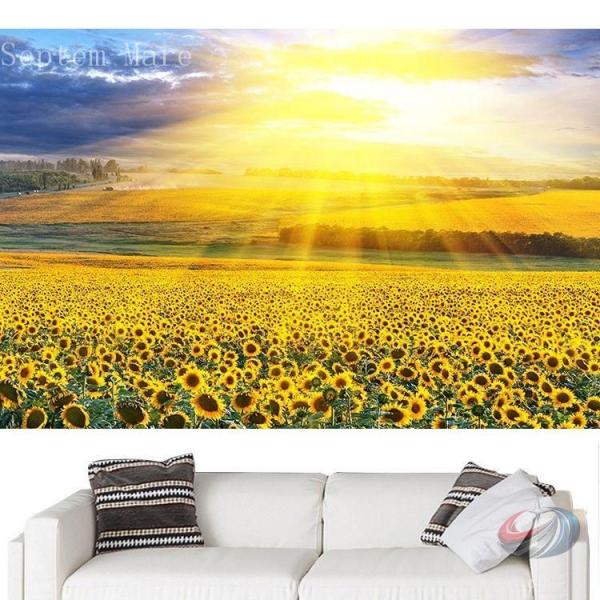 アクリルフレーム フォトフレーム 額縁 A3サイズ 壁掛け 横縦置き兼用 写真立て クリアフレーム 賞状 ポスターフレーム おしゃれ 297mm