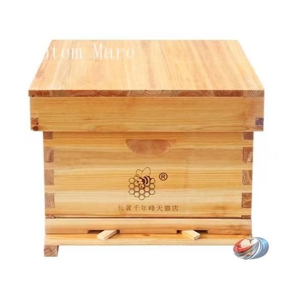 防水防湿 ミツバチ巣箱 蜂蜜キーパー巣箱 養蜂箱 杉材の 蜂ハイブ ミツバチの巣箱 養蜂器具 簡単インストール 耐久性 ハチミツの家 蜂の巣の完全なキット 巣箱/