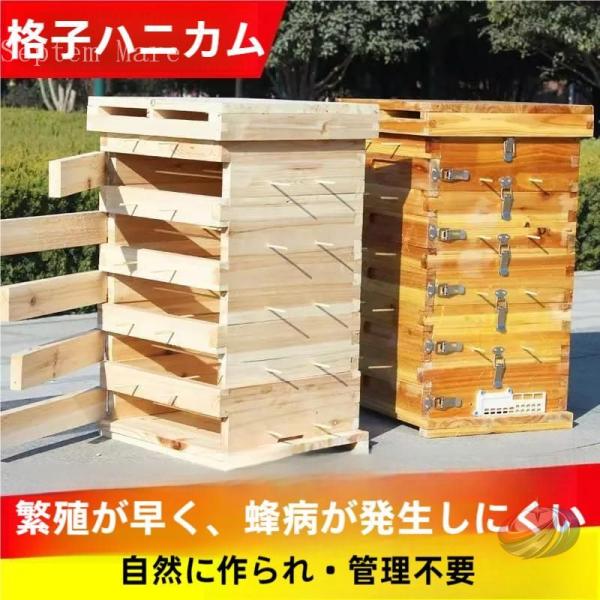蜜蜂巣箱 ミツバチ 巣箱 重箱式 養蜂箱 杉材 蜂ハイブ 格子箱 煮蝋 /乾燥
