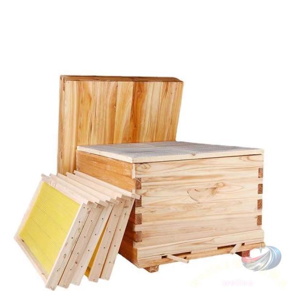 【養蜂製品】養蜂箱網の設計があり、外の昆虫から蜂を守ることができます。掃除はもっと便利で、きれいです。蜂蜜をより安全で、より自然で新鮮なものにすることができます。養蜂家にとって理想的なツールです。【商品仕様】 ログスタイル 乾燥 ミツバチ巣...