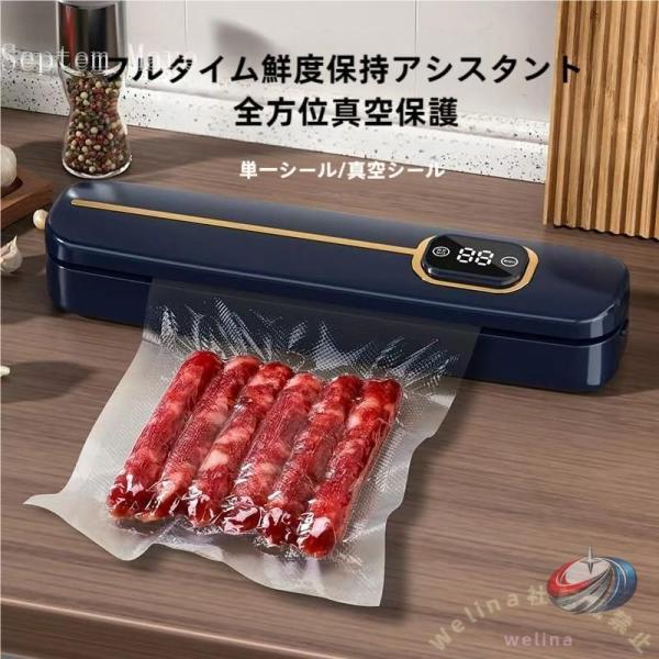 真空パック機 真空パック器 真空パック 袋10枚付き 家庭用 業務用 フードセーバー 小型 キッチン 60Kpa 強力 乾湿兼用 シーラー フードシーラー 真空包装機