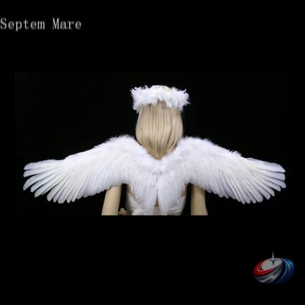 商品紹介：商品を背負って頂くことで徐々に背中に沿っていきますので、画像のような曲がった状態になっていきます。 また、納品させて頂きます段階では、羽がまとまっておりますので立体的ではございませんが、 商品を開封して頂きまして、羽が空気に触れる...