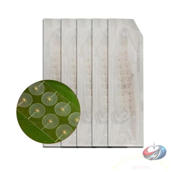 商品詳細:カラー:/ゴールド/シルバーサイズ:/100粒入り