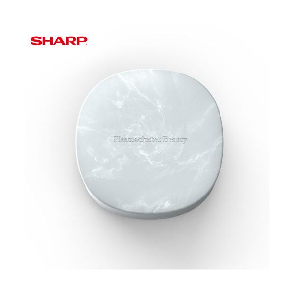 プラズマクラスター ヘアブラシ シャープ SHARP [IB-B1-A] ブルー系ミスティライトブルー 毛先の絡まりをスムーズにほどきサラツヤ髪へ 静電気を抑える