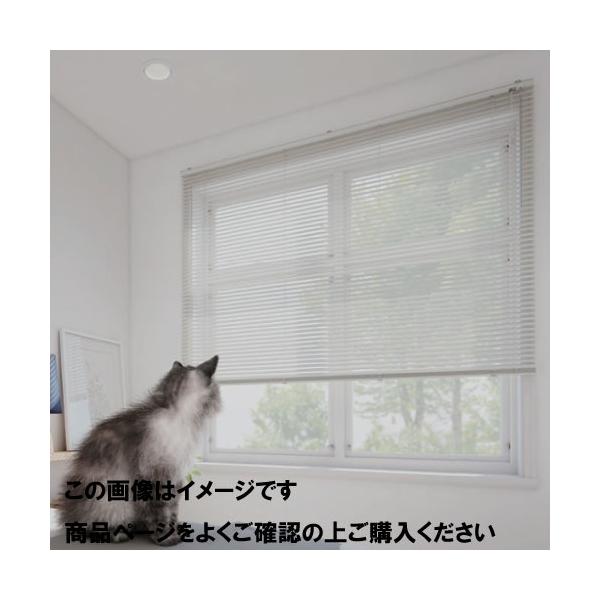 インテリアブラインド 標準仕様 幅241~260×高さ161~180cm [IBHJ241-260-161-180] カーテン 立川機工 タチカワ 変更・キャンセル不可