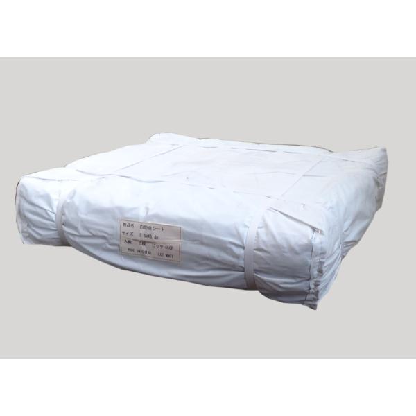 建設・建築現場で壁面の養生に使用。資材にカバーをかける（火災対策用）。耐寒剤入り（マイナス17℃まで）日本防炎協会認定品ポリエステルの基布に塩化ビニールをコーティングした商品になります。基布の重量　240ｇ/m2、打ち込み本数18ｘ9/イン...