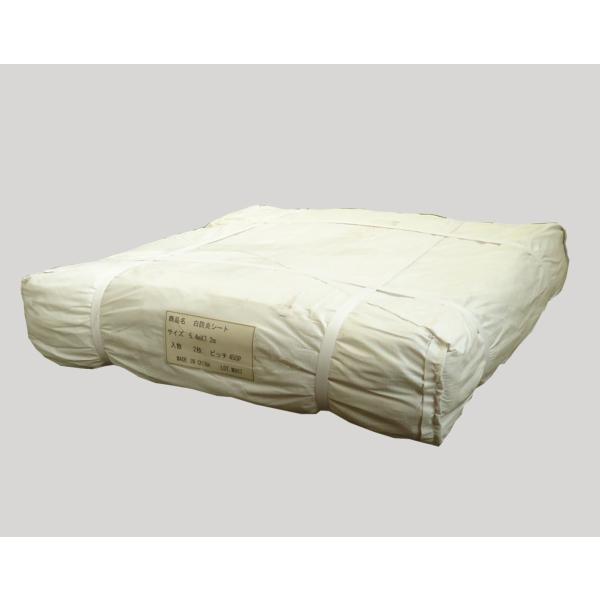 サイズ：5.4ｍｘ7.2ｍ建設・建築現場で壁面の養生に使用。資材にカバーをかける（火災対策用）。耐寒剤入り（マイナス17℃まで）日本防炎協会認定の防炎シール付ポリエステルの基布に塩化ビニールをコーティングした商品になります。基布の重量　24...