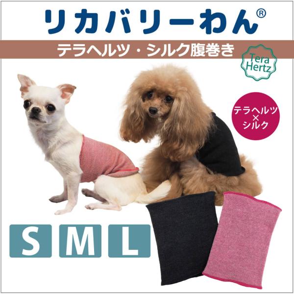 【発売日：2023年07月21日】クークチュールの商品はすべて日本製。素材はもちろんのこと、企画からデザイン、縫製にいたるまでの全行程を完全国内生産で行っている犬服＆グッズメーカーです。婦人服製造で培った技術とノウハウの全てを犬服＆グッズ作...