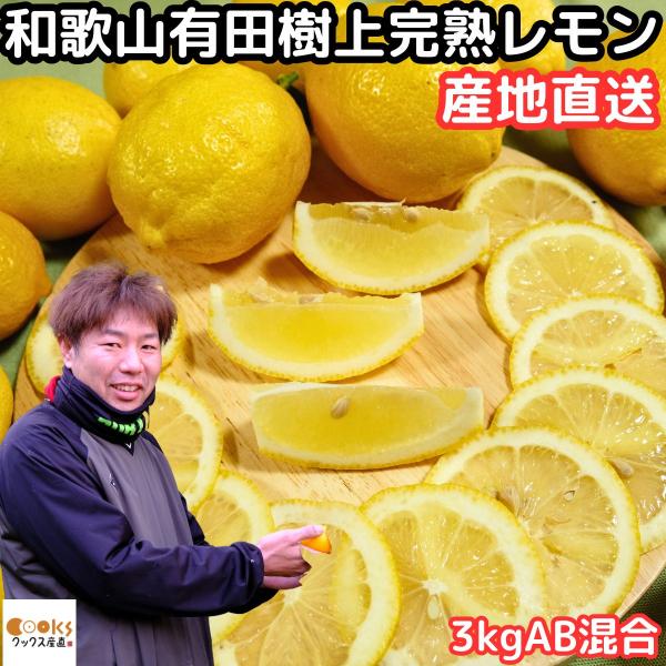 ★レモンの皮まで安心して食べれる　安心の防腐剤 ワックス不使用★フレッシュな味わいと爽やかな香りがたまならい！★和歌山 有田よりもぎたて新鮮配送でお届け！★果汁も多くジューシーなので料理にもお酒にも最適です★安心のこだわり生産者指定でおいし...
