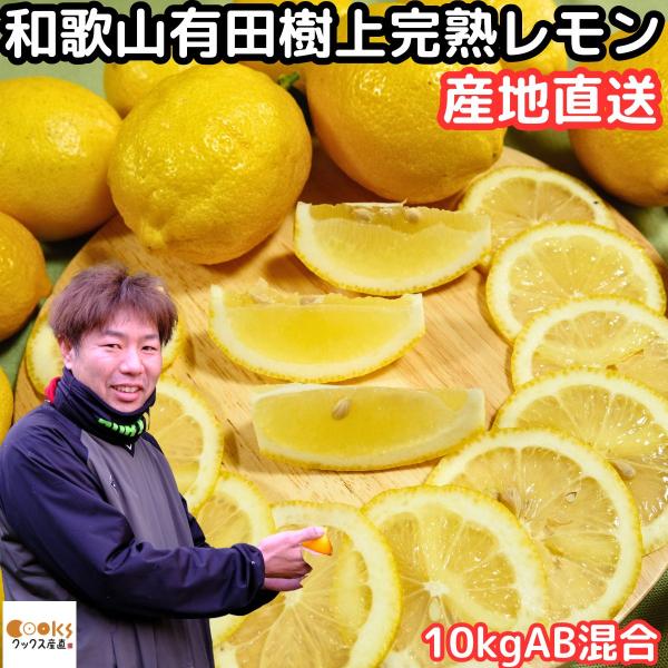 ★レモンの皮まで安心して食べれる　安心の防腐剤 ワックス不使用★フレッシュな味わいと爽やかな香りがたまならい！★和歌山 有田よりもぎたて新鮮配送でお届け！★果汁も多くジューシーなので料理にもお酒にも最適です★安心のこだわり生産者指定でおいし...