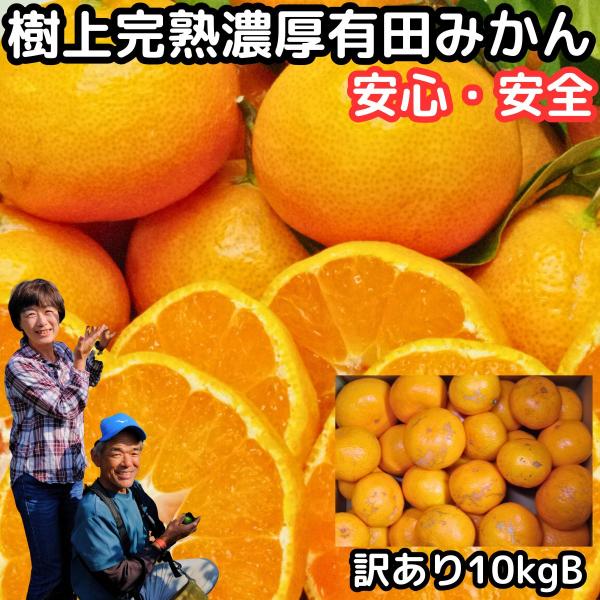 ★樹上完熟みかんは美味しさが違う！★濃厚な味わいと際立つ甘みが美味しいみかんです★安心・安全にも配慮 化学肥料・防腐剤・ワックス不使用★美味しいみかんが育つ有田の南向き段々畑で栽培されたみかん★詳細情報【内容量】みかん 有田 訳あり 甘い ...