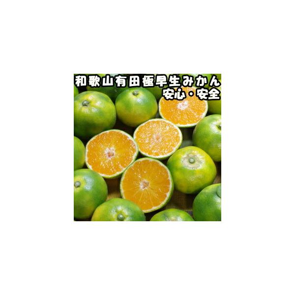 ★樹上完熟みかんは美味しさが違う！★濃厚な味わいと甘みが美味しいみかんです★安心・安全にも配慮 化学肥料・防腐剤・ワックス不使用★美味しいみかんが育つ有田の南向き段々畑で栽培されたみかん★詳細情報【内容量】みかん 有田 小玉 甘い 糖度 送...