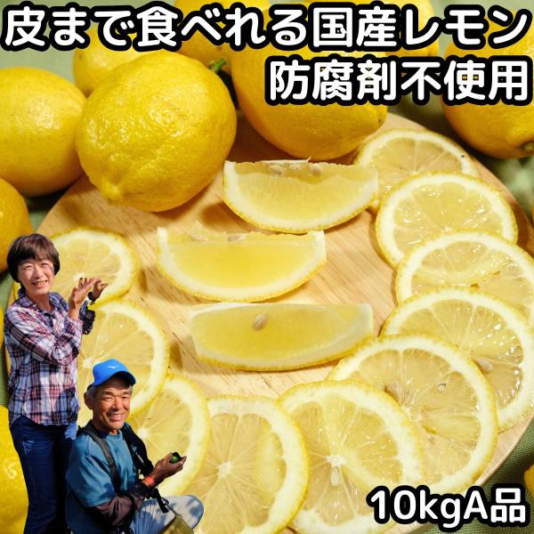 ★レモンの皮まで安心して食べれる　安心の防腐剤 ワックス不使用★フレッシュな味わいと爽やかな香りがたまならい！★和歌山 有田よりもぎたて新鮮配送でお届け！★果汁も多くジューシーなので料理にもお酒にも最適です★安心のこだわり生産者指定でおいし...