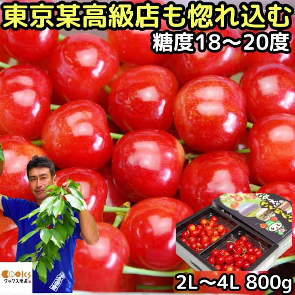 ★東京 某高級スーパーも認めた待望の新品種★高原さくらんぼは一味違う！次世代の超大玉さくらんぼ★高原樹上完熟は強い甘みと上品な酸味が最高に美味！★おいしさはもちろん！ハリ・艶（ツヤ）にもとことんこだわる！★化学肥料・除草剤を一切使わず安全面...