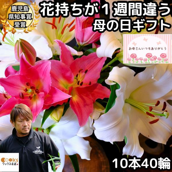 ★産地直送だから花屋さんより花持ちが１週間は違いますよ！★高貴な香りで40輪以上の大輪の花が最後の1輪まできれいに咲きます！★詳細情報【商品名】花 ユリ 母の日 花束 大輪 ギフト ミックス 10本 40輪以上 国産 誕生日 プレゼント ゴ...