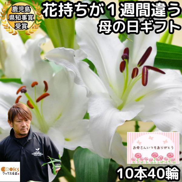 ★産地直送だから花屋さんより花持ちが１週間は違いますよ！★高貴な香りで40輪以上の大輪の花が最後の1輪まできれいに咲きます！★詳細情報【商品名】 花 ユリ 花束 母の日 大輪 ギフト 白 10本 増量 40輪 国産 誕生日 ゴージャス プレ...
