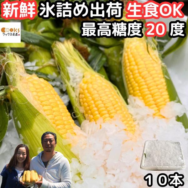★採れたてのとうもろこしを氷詰めで産地直送★最高糖度20度！フルーツのように甘い恵味（めぐみ）をお送りします★北の大自然 寒暖の差が生んだ奇跡 羊蹄山のミネラル豊富な雪解け水がおいしいトウモロコシを育てます★きめ細かい氷を隙間なく入れ、野菜...