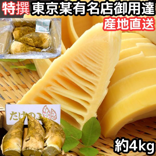 ★プロの目利きが厳選 最高品質の採れたて新鮮朝どれタケノコを産地直送★鮮度にこだわり朝どれタケノコを冷蔵便で当日出荷します！★鮮度保持剤も入れて採れたての品質を保ちます★香り高くかむほどに広がるうま味です！★詳細情報【内容量】プロの目利きが...