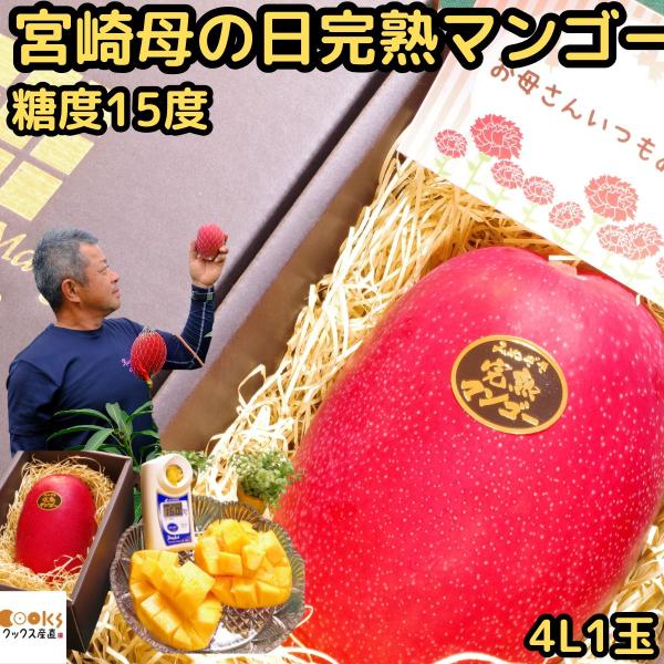 ★溢れんばかりの果汁と愛情をお届け！母の日に完熟マンゴーはいかが！」★完熟マンゴーは「母の日」が一番美味しい★とろけるような食感と甘さが最高★生産者限定だから出来る味です！安全面にも配慮してJGAP取得農家さんです。★平均糖度15度以上と刺...