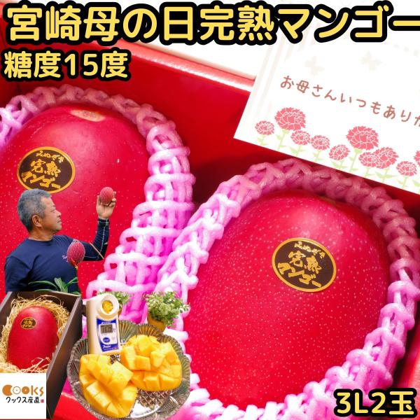 ★溢れんばかりの果汁と愛情をお届け！母の日に完熟マンゴーはいかが！」★完熟マンゴーは「母の日」が一番美味しい★とろけるような食感と甘さが最高★生産者限定だから出来る味です！安全面にも配慮してJGAP取得農家さんです。★平均糖度15度以上と刺...