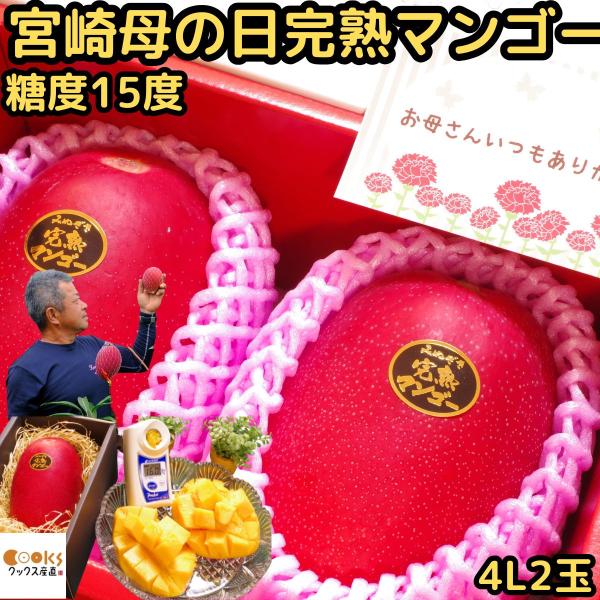 ★溢れんばかりの果汁と愛情をお届け！母の日に完熟マンゴーはいかが！」★完熟マンゴーは「母の日」が一番美味しい★とろけるような食感と甘さが最高★生産者限定だから出来る味です！安全面にも配慮してJGAP取得農家さんです。★平均糖度15度以上と刺...