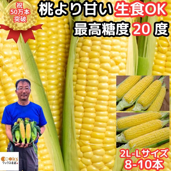 ★最高糖度20度以上！50万本突破！桃より甘〜いと地元で評判！★2Ｌ〜Lサイズで　8本〜10本入りで産直直送します★朝どり当日出荷で新鮮配送です！★北海道より大消費地に近く翌日配送も可能なので甘みも抜群です。★詳細情報【商品名】最高糖度20...